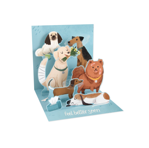 Get Well Dogs Pop Up Card – On Waverly